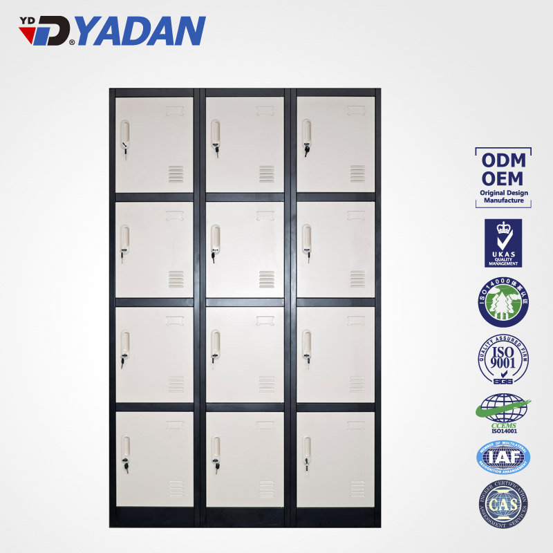 Experienced supplier of 12 doors locker