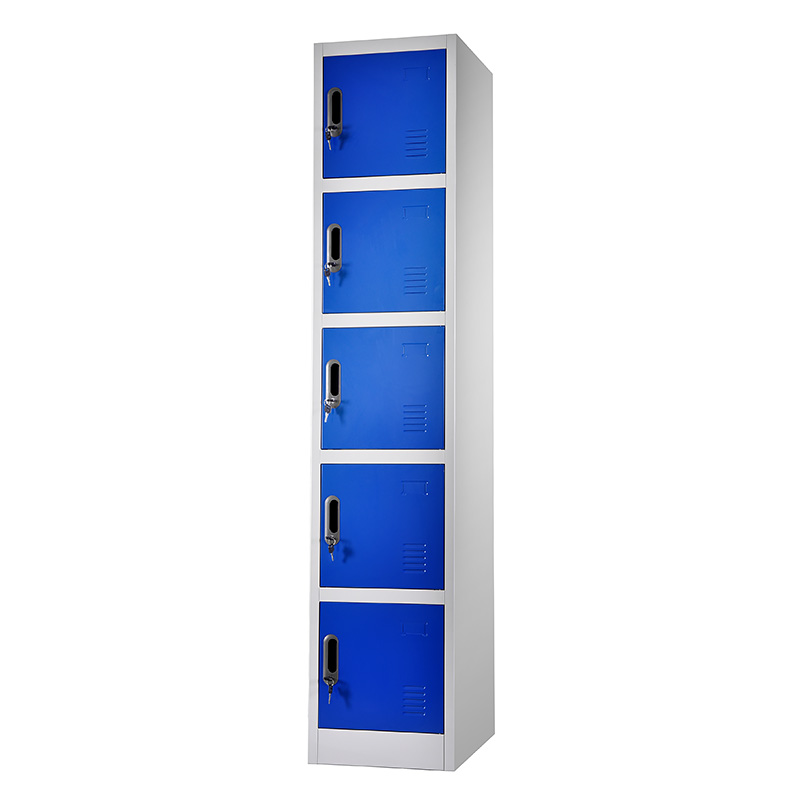 Experienced supplier of 5 doors locker