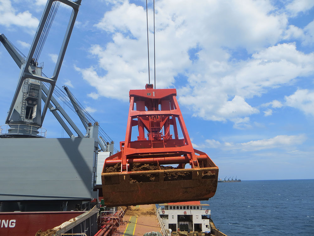 Quality Remote Control Bulk Grab Supplier | Shanghai Janus Grab Co., Ltd