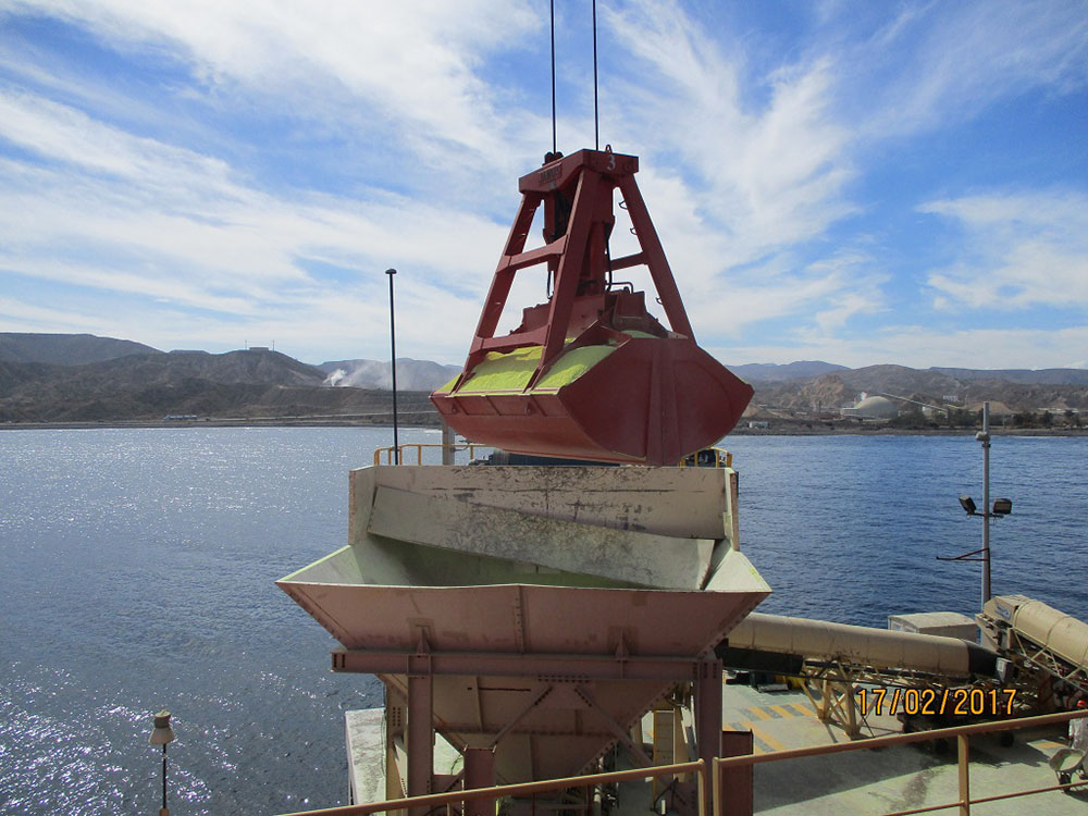 Quality Remote Control Bulk Grab Supplier | Shanghai Janus Grab Co., Ltd