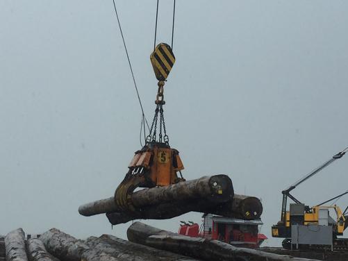Best Seller Motor-hydraulic Timber Grab Supplier | Shanghai Janus Grab ...