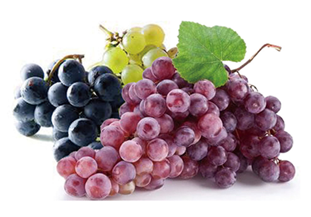 Quality Grape Beverage Processing Line Manufacturer | Triowin