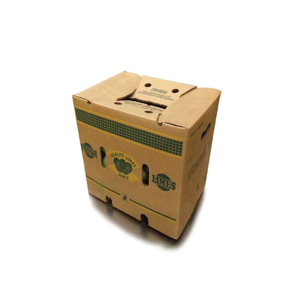 Experienced supplier of gift Avocado packaging box